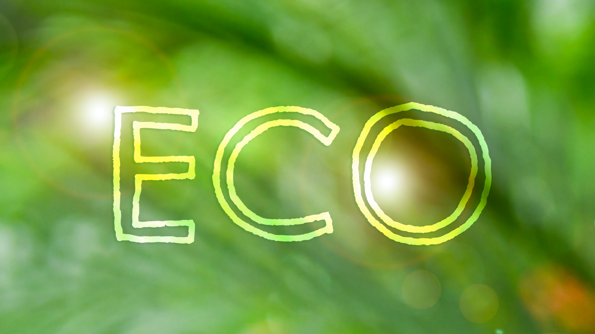 What Are "Eco-Friendly" Materials? Sustainable Choices Companies Can ...